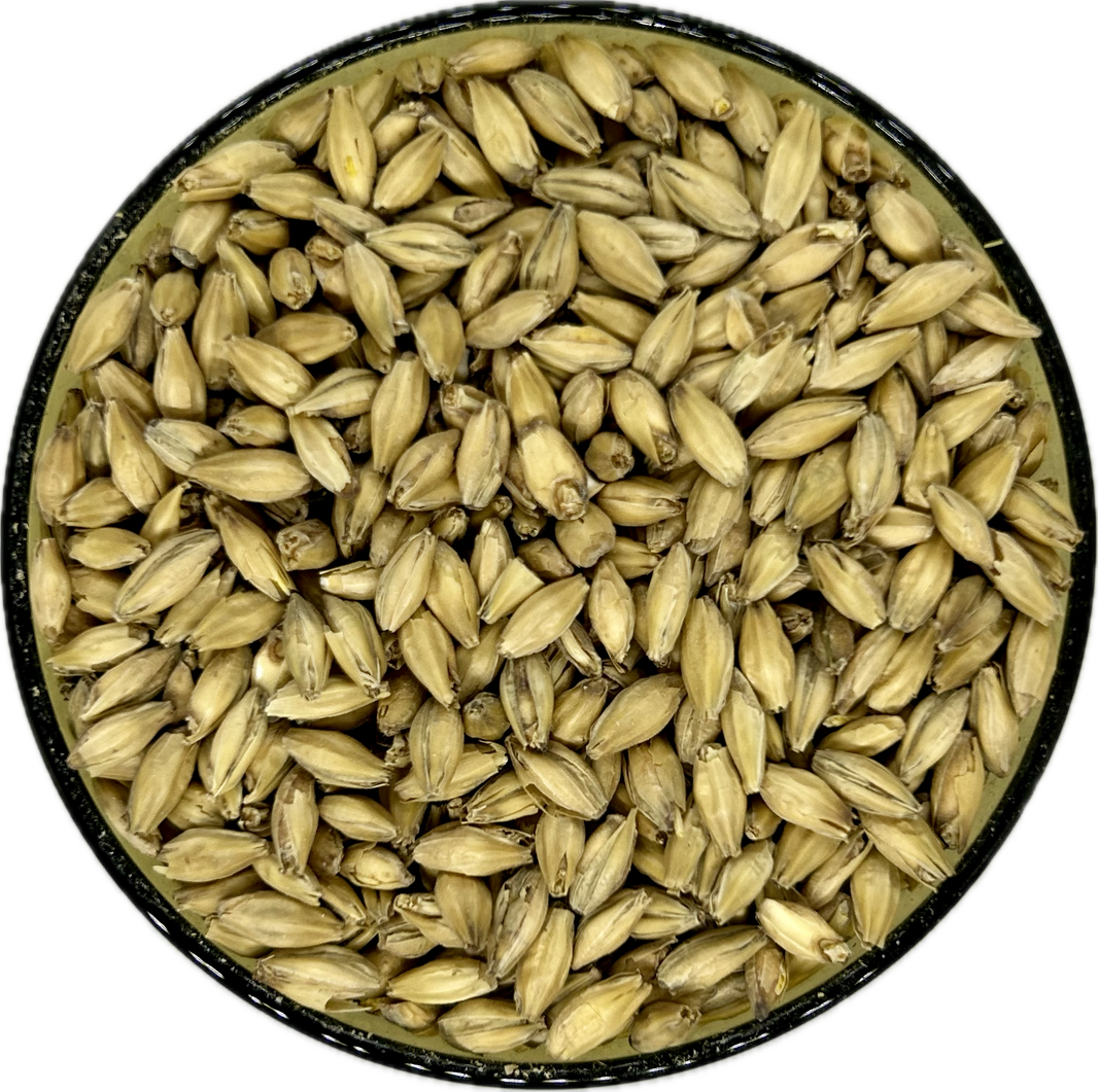 Home Fermenter® - Craft. Culture. Create.